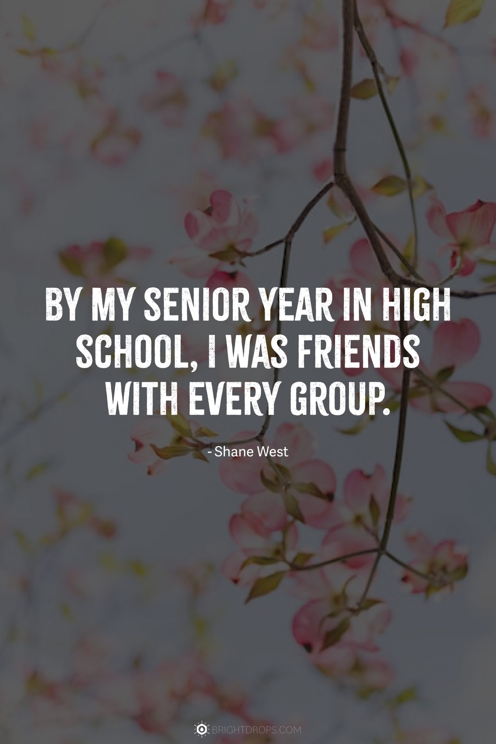 211 Best Yearbook Quotes For Seniors That Don t Suck Bright Drops 211 Best Yearbook Quotes For Seniors That Don t Suck Bright Drops