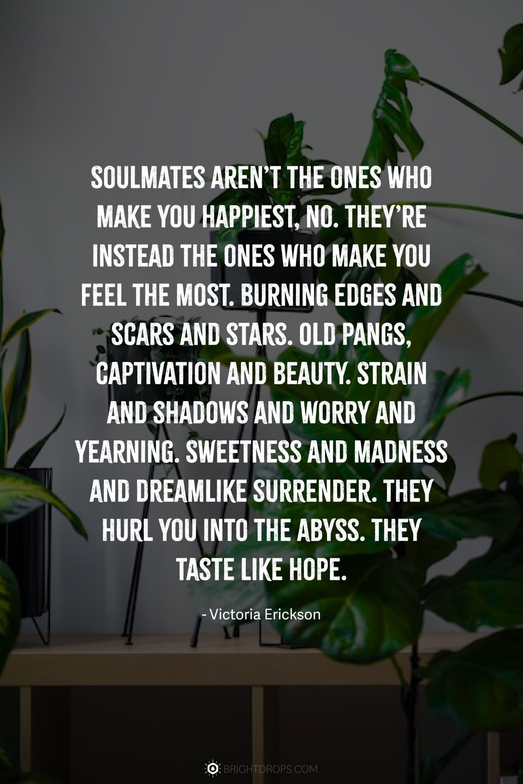 111 Short and Deep Soulmate Quotes - Bright Drops