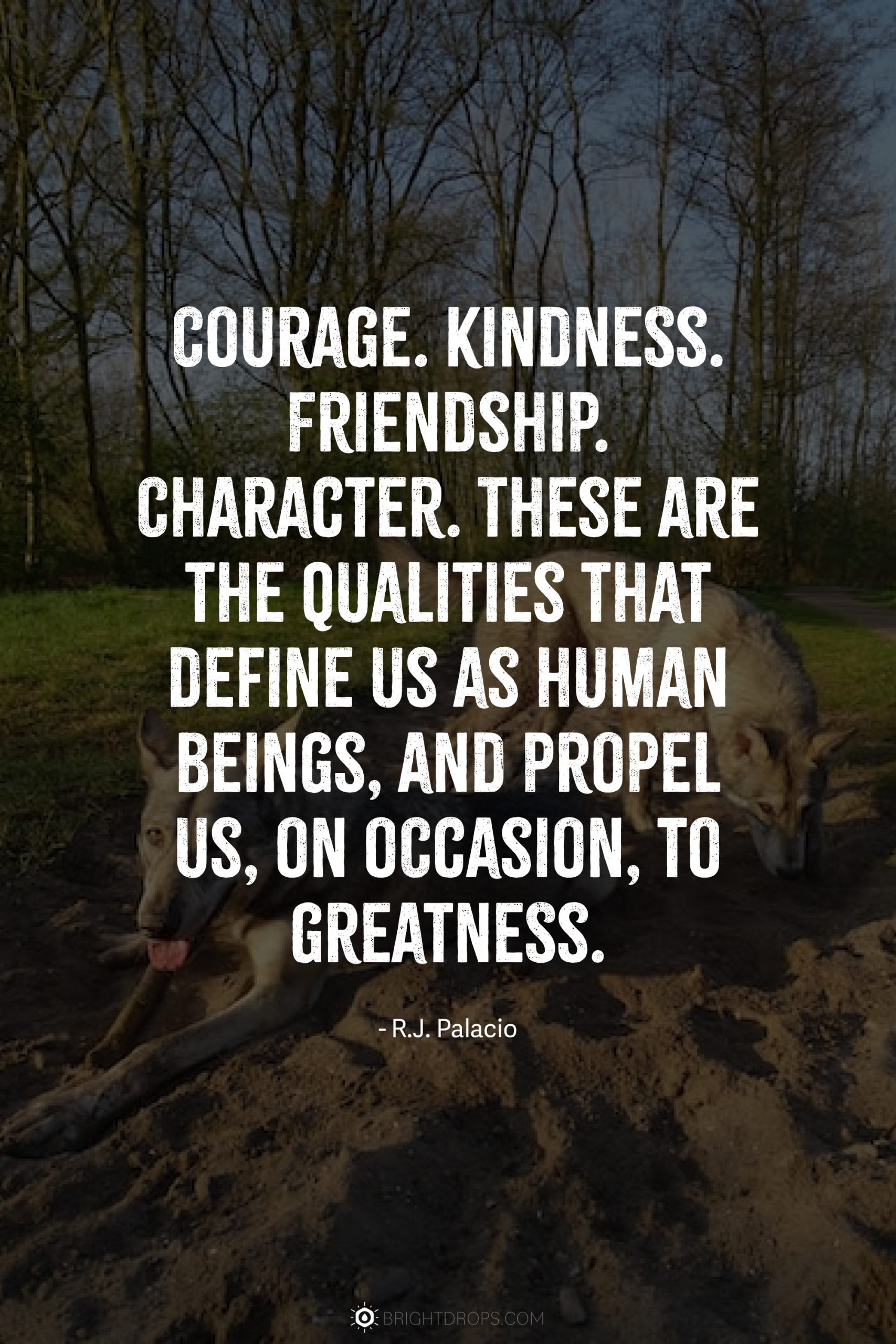 62 Quotes About Being Kind to Yourself & Others - Bright Drops