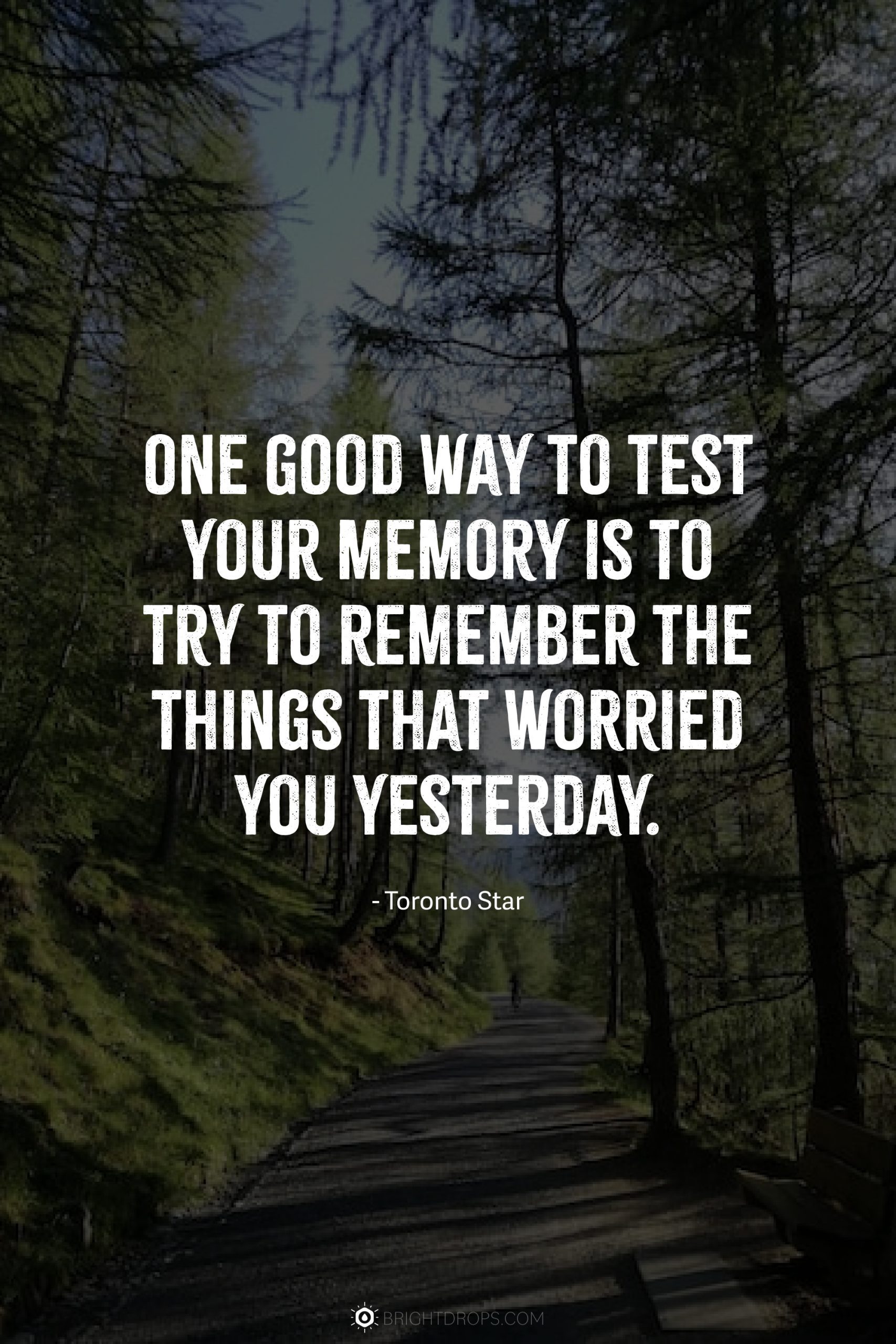 79 Short & Deep Meaningful Quotes on Everything - Bright Drops