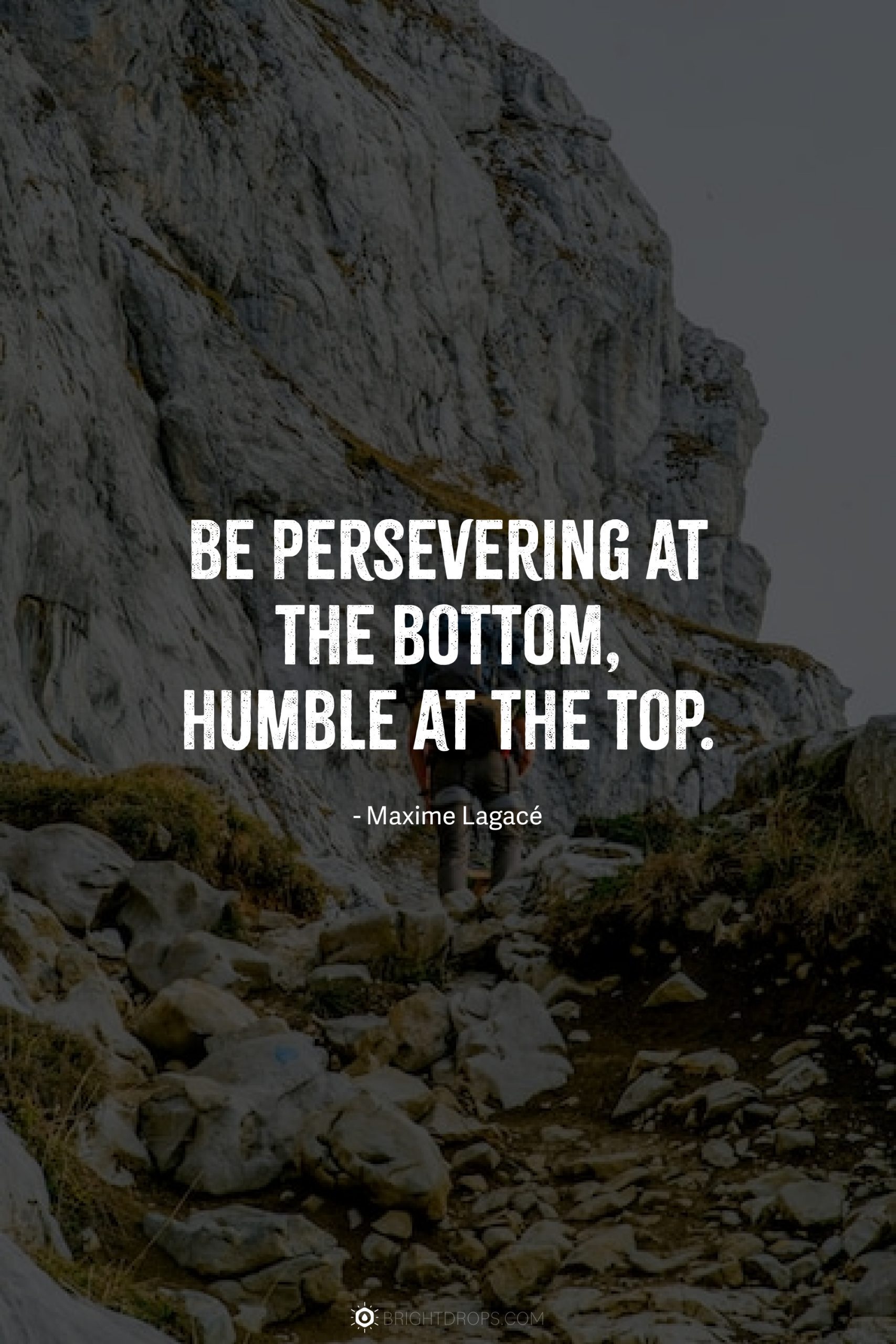 91 Perseverance Quotes on Why Giving It Your All is the Only Way ...