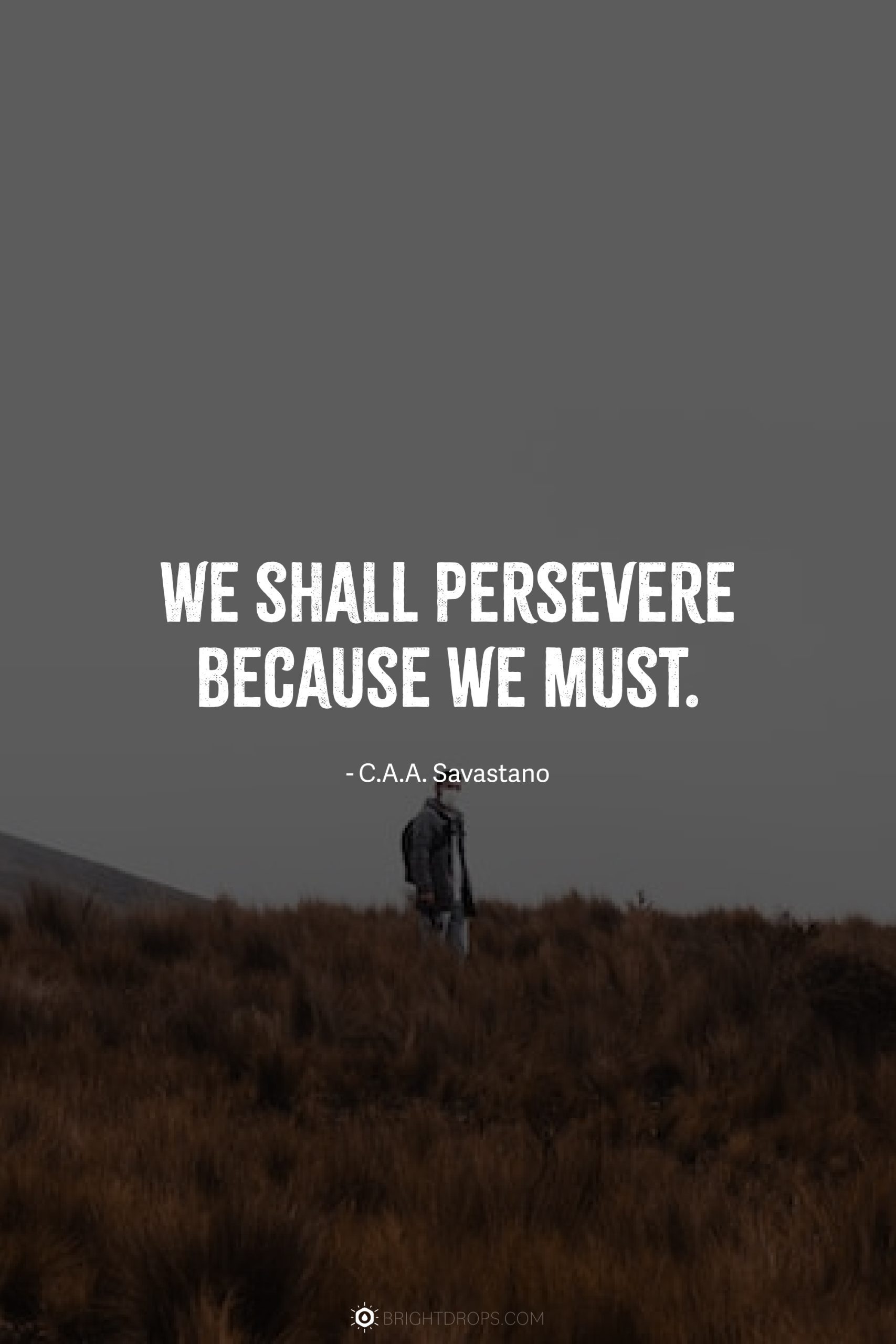 91 Perseverance Quotes on Why Giving It Your All is the Only Way ...