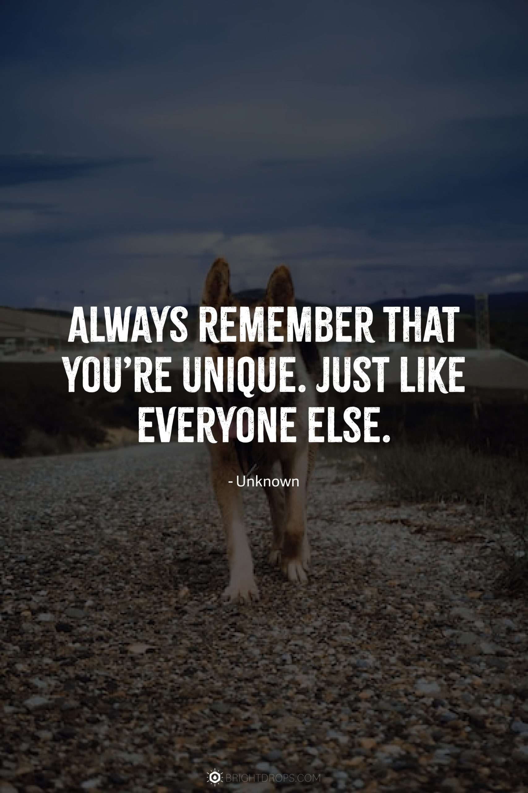 81 Funny Sarcastic Quotes for When You're Feeling Cheeky - Bright Drops