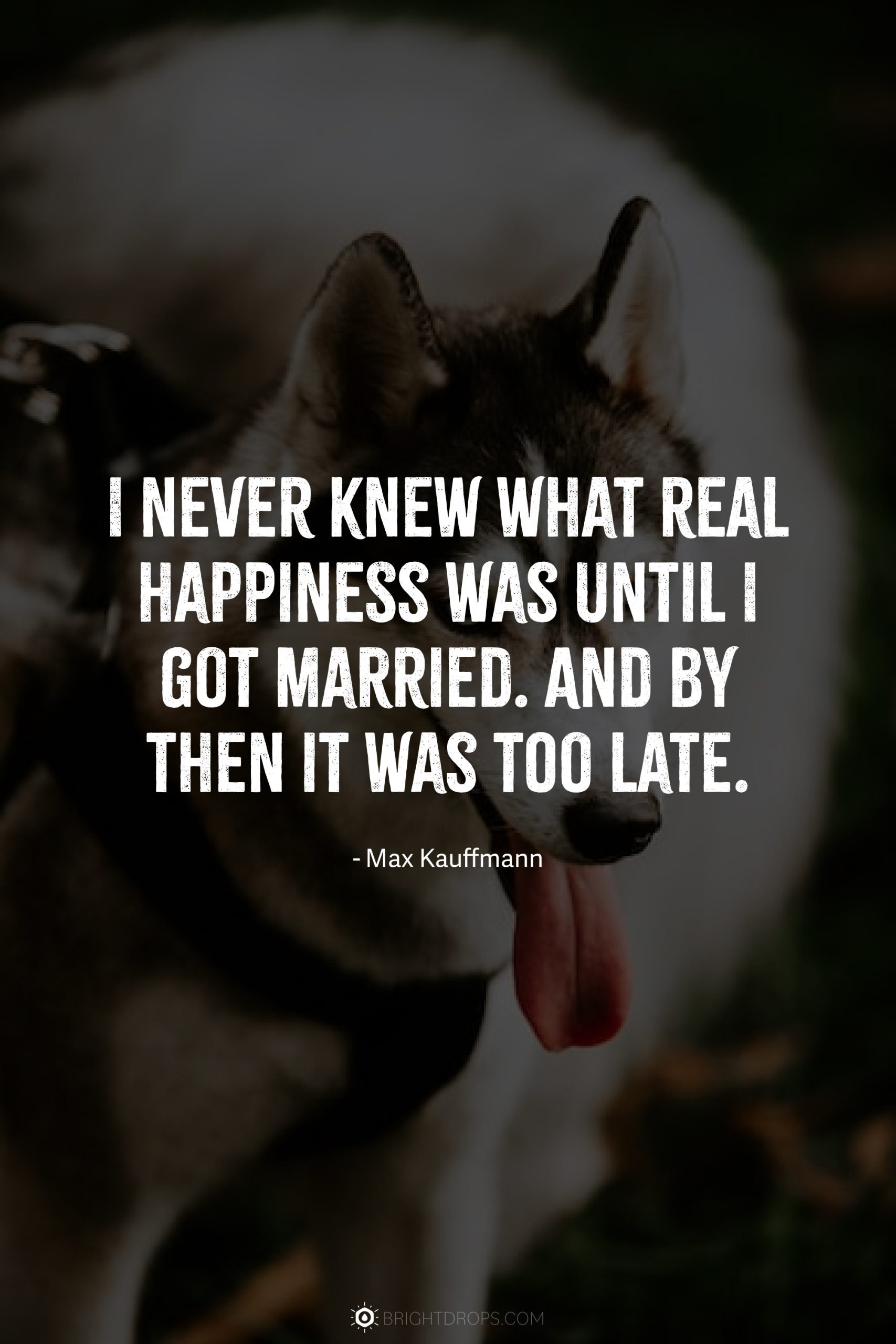 81 Funny Sarcastic Quotes for When You're Feeling Cheeky - Bright Drops