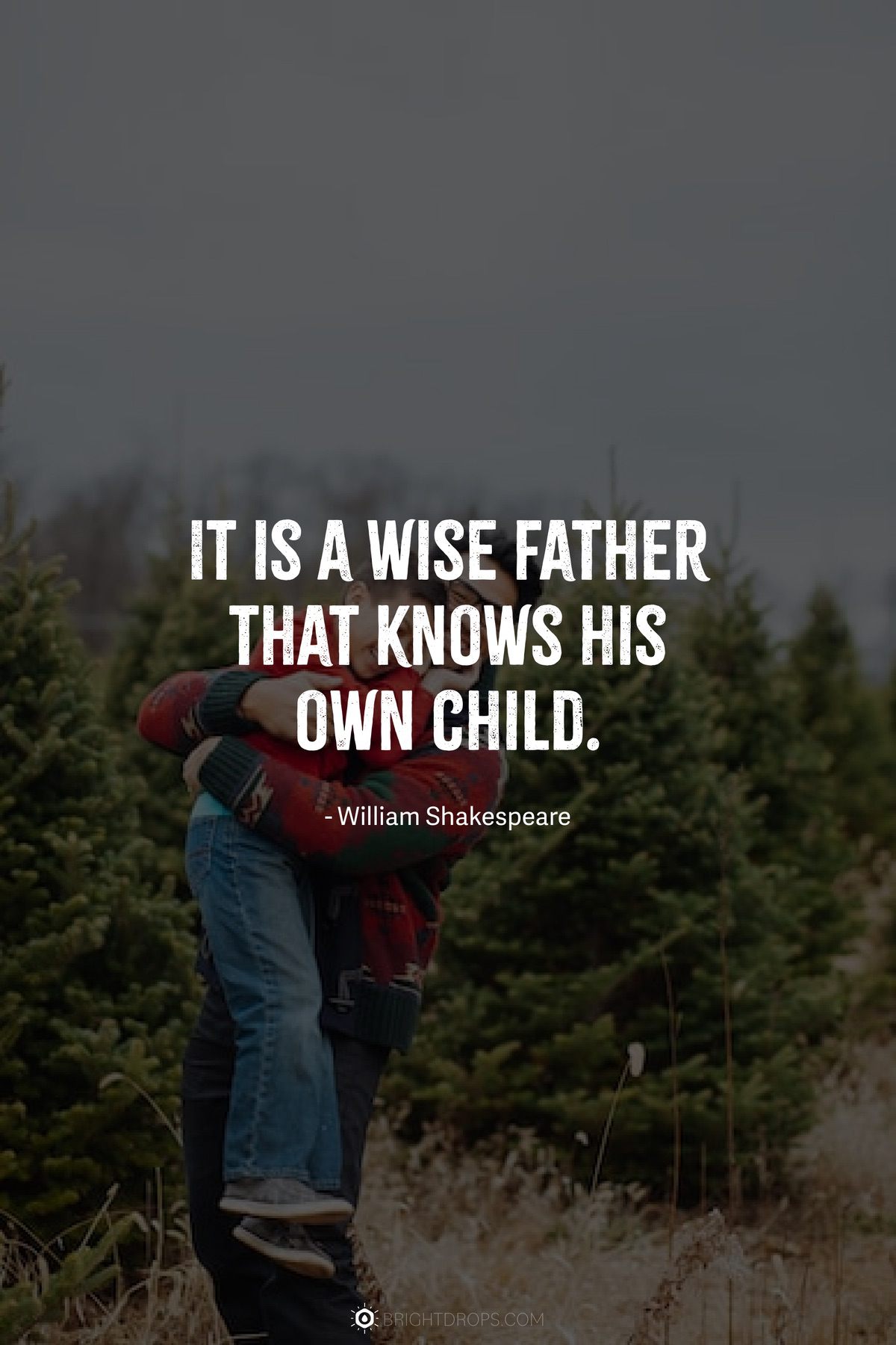 58 Dad Quotes To Express What He Means To You Bright Drops 58 Dad Quotes To Express What He Means To You Bright Drops