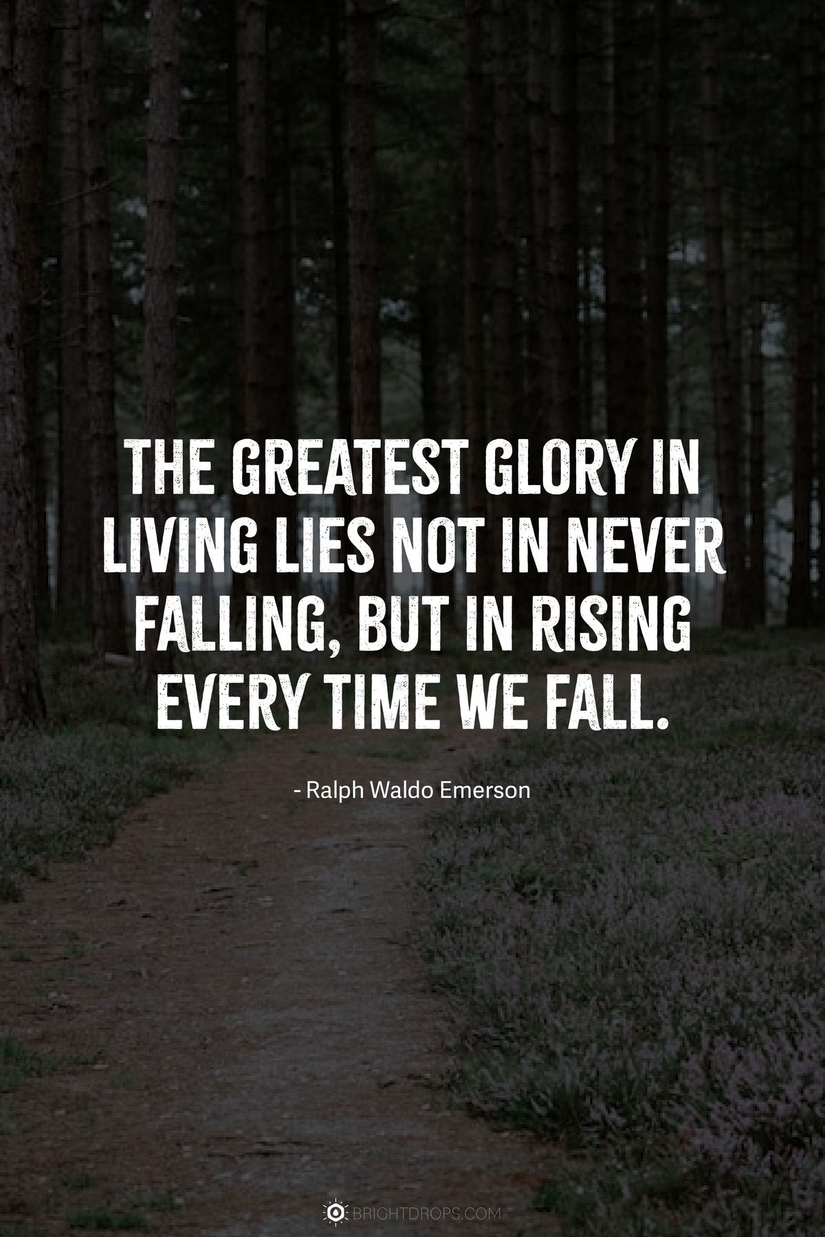 87 Quotes on the Fear of Failure & Overcoming It - Bright Drops