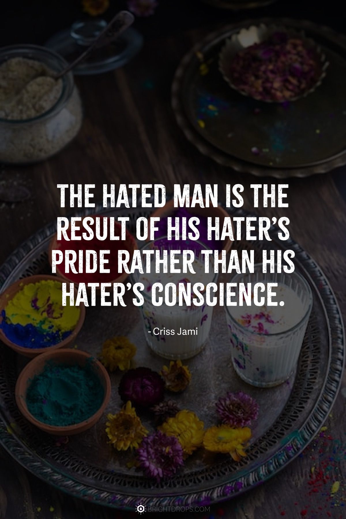 67 Short (and Funny) Quotes on Haters - Bright Drops