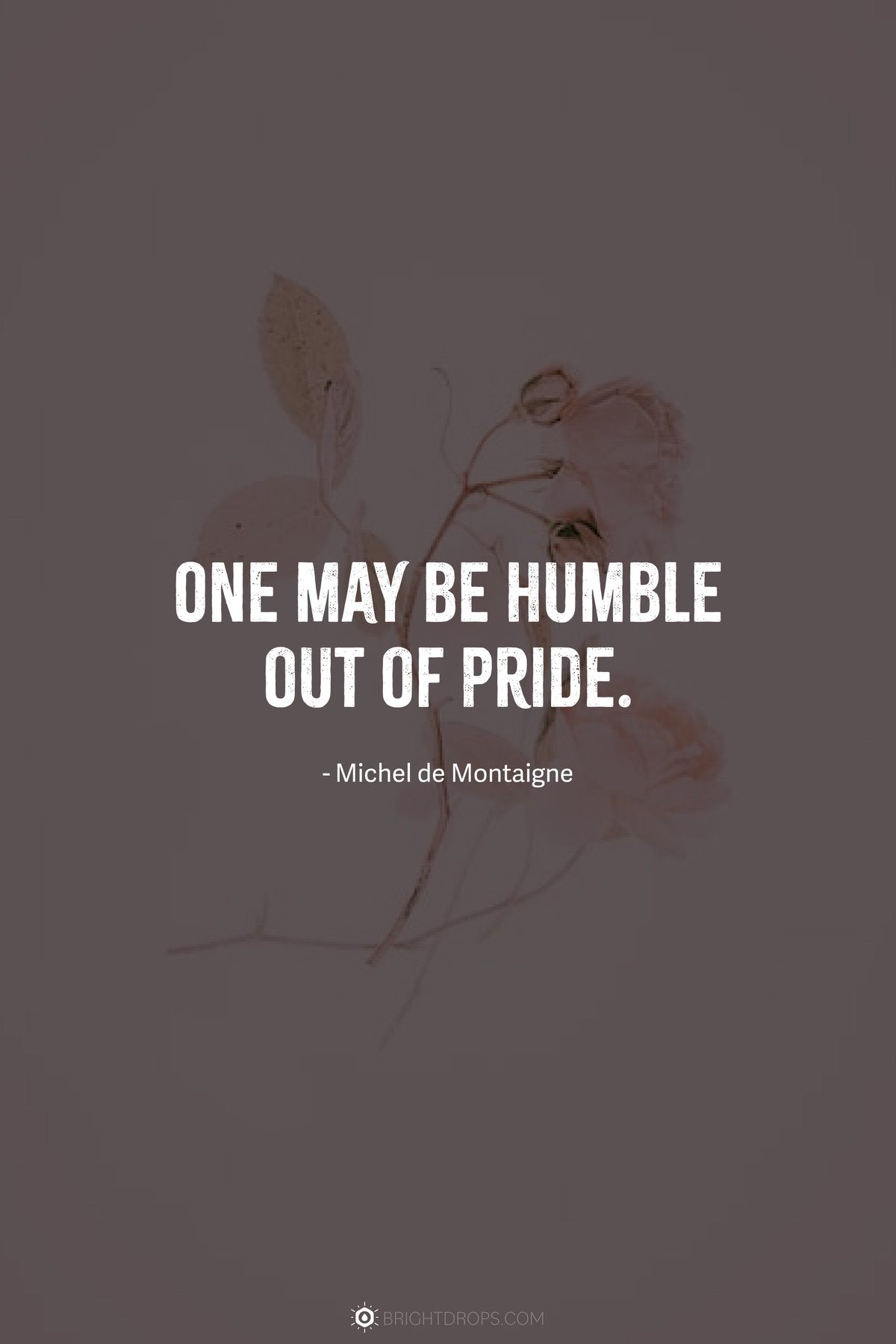 66 Quotes on Humility & The Benefits of Being Humble - Bright Drops
