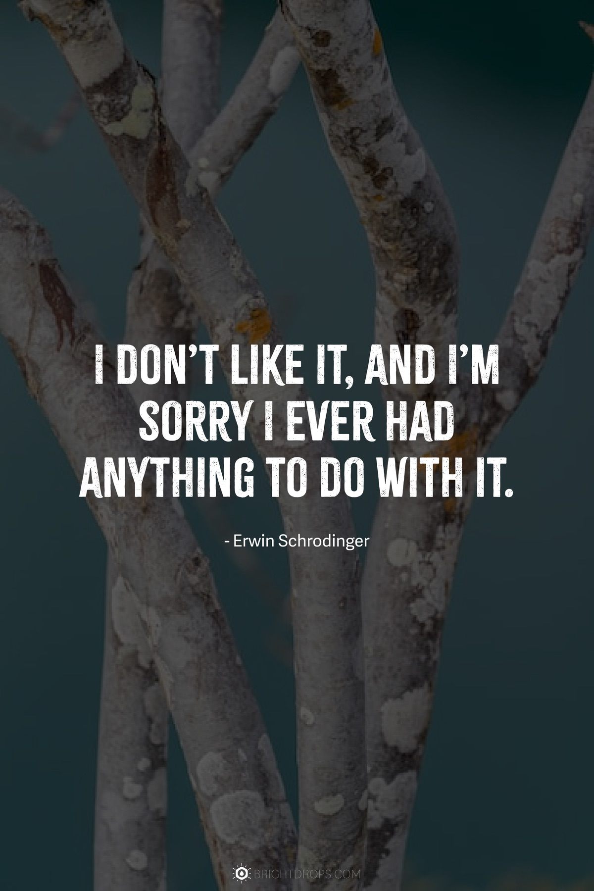 92 I'm Sorry Quotes to Apologize From the Heart - Bright Drops