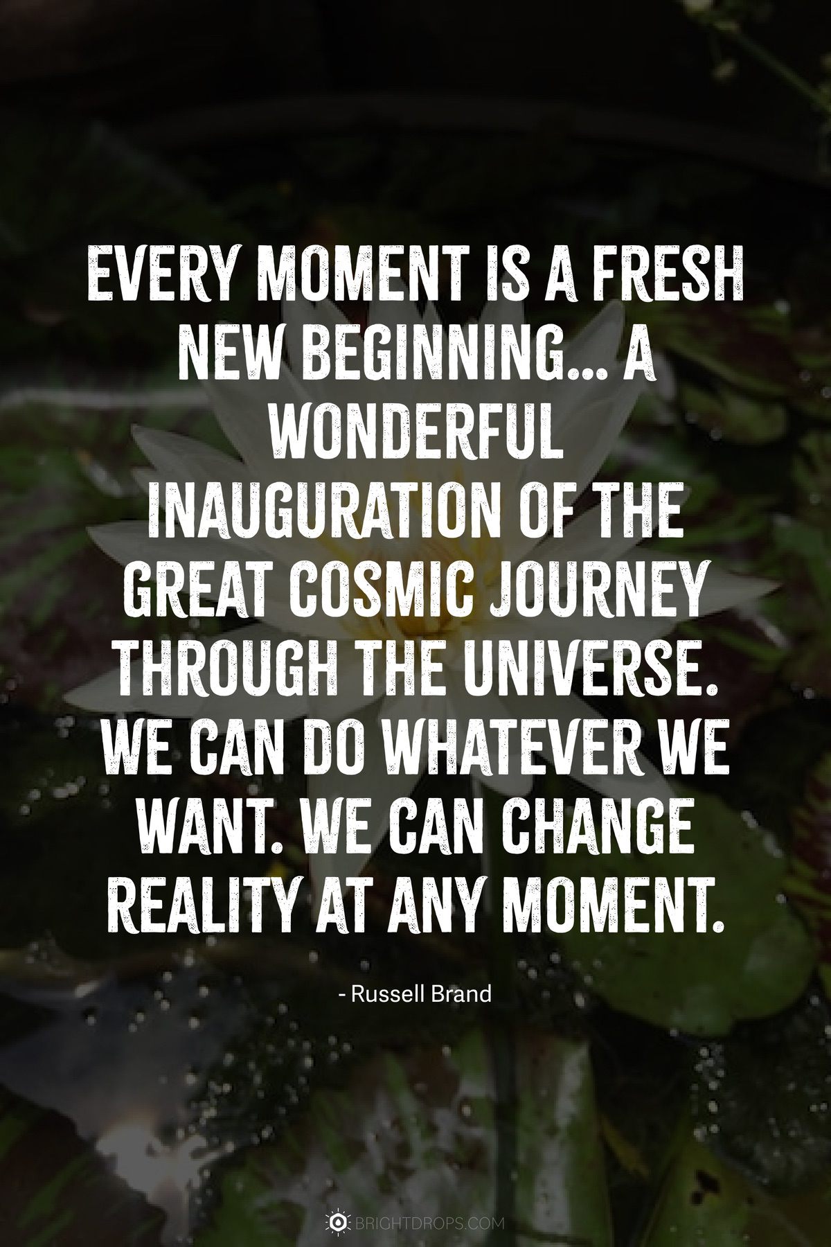 103 Quotes to Embrace New Beginnings - Bright Drops