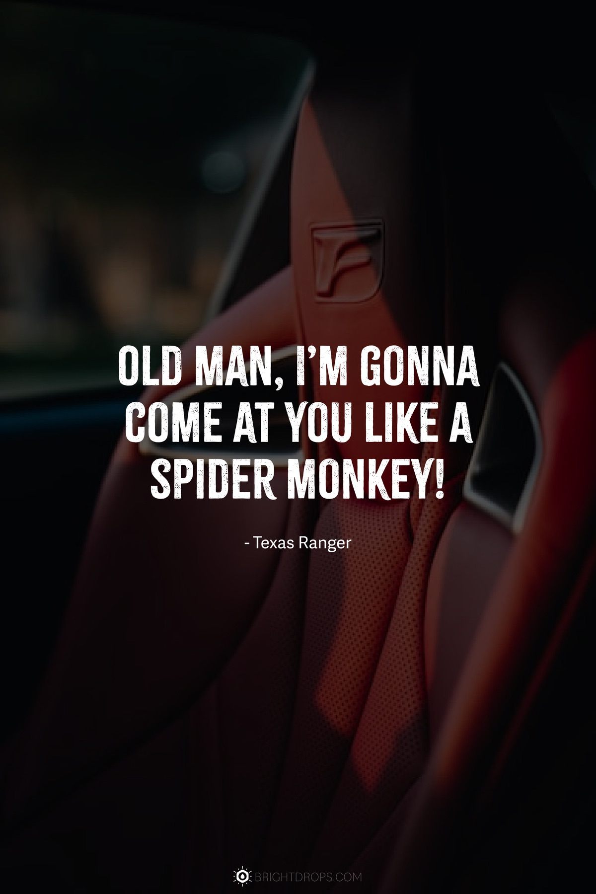 24 Hilarious Ricky Bobby Quotes from Talladega Nights - Bright Drops